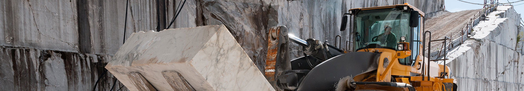 Wheel Skid Steers For Sale | www.larsonimplements.com